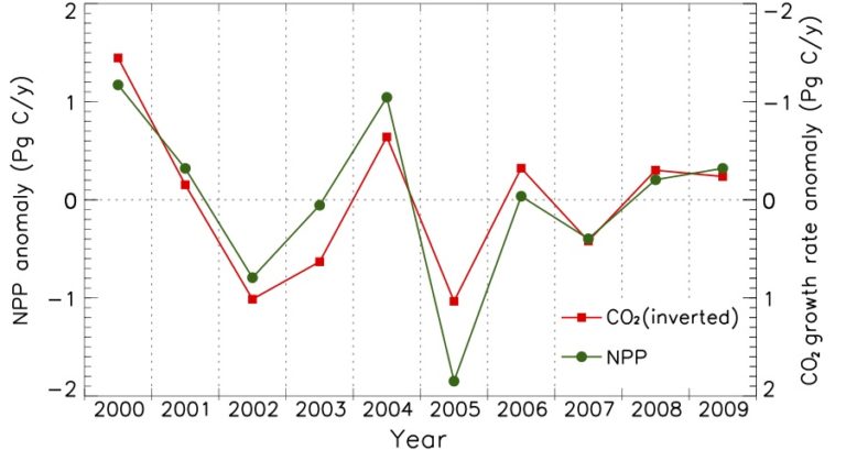 Elevated Carbon dioxide Level And Plant Productivity | Effect Of CO2 On ...