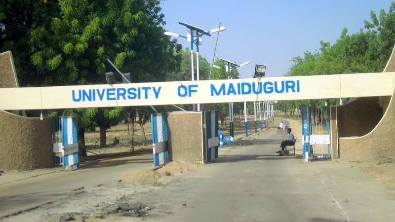 UNIMAID Postgraduate Admission List 2024/2025 unimaid.edu.ng