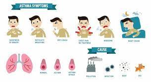 Scholarships for Students with Asthma and Allergies 2026/2027