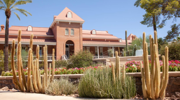 University Of Arizona Acceptance Rate 2024